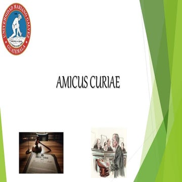 PRESENTACIÓN AMICUS CURIAE presentación.pptx