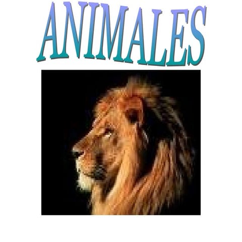 Animales | PPT