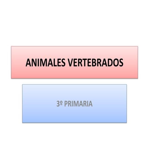 Presentación animales vertebrados primer ciclo primaria | PPT