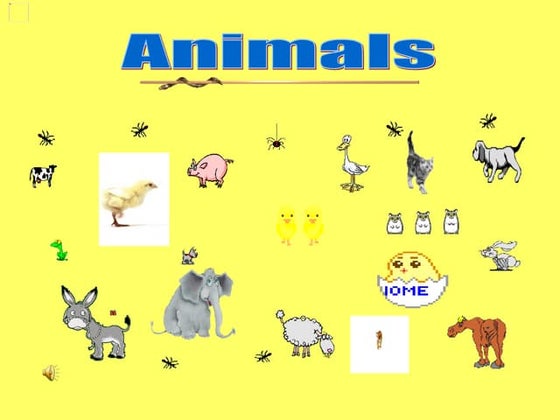 Animals. Plurals | PPT