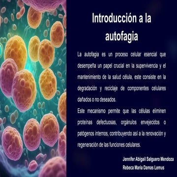 Presentación Autofagia - Patología -.pptx
