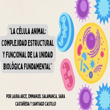 La Célula Animal, los tipos y partes.pdf