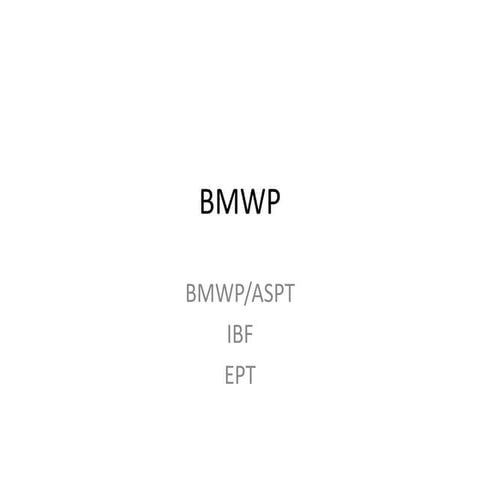 Presentación BMWP.pdf