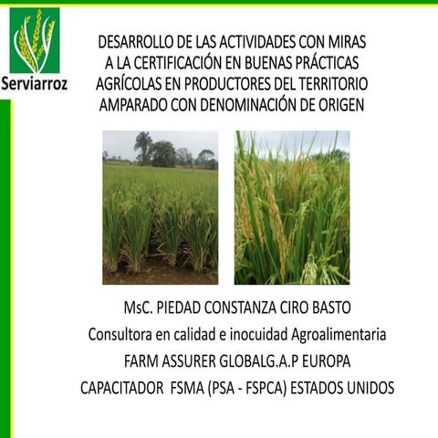 PRESENTACIÓN BPA (1).pptx
