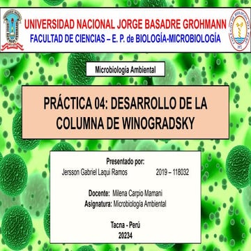 Presentación Columna de Winogradsky.pptx