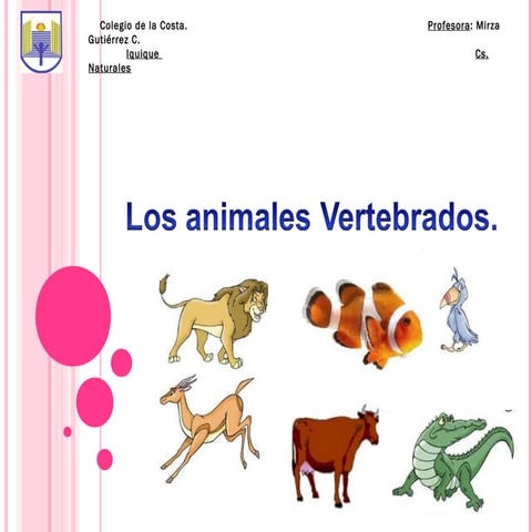 Presentación de animales vertebrados. | PPT