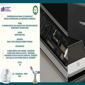 ELABORACION DE una MAQUETA del secuenciador de nanoporos (MinION MK1C ...