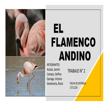 Presentación del Flamenco andino.pptx