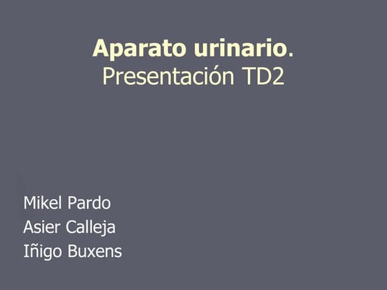 Aparato Urinario Sistema Urinariu Humanu Wikipedia