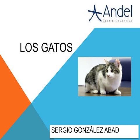 Presentación gatos sergio gonzález | PPT