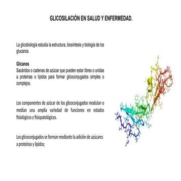 como se lleva a cabo la glicosilacion.pptx