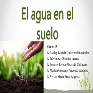 apoplasto y simplasto Absorcion del agua por las plantas | PDF