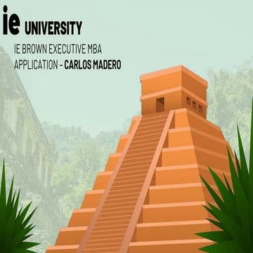 IE BROWN EXECUTIVE MBA APPLICATION – CARLOS MADERO | PDF