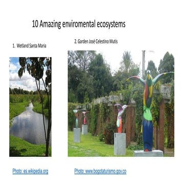 10 amazing enviromental ecosystemns | PPTX