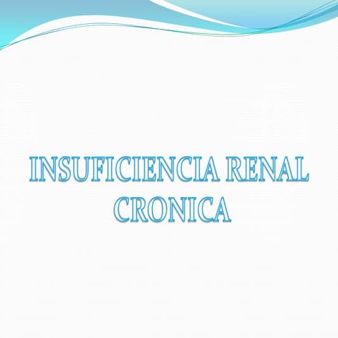 Comprehensive Overview of Renal Insufficiency: Anatomy, Diagnosis, and ...
