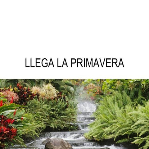 La primavera presentacion proyecto | PPT