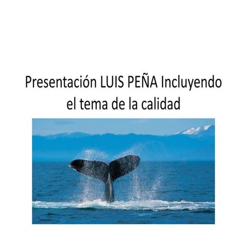 Presentación de LUIS PEÑA incluyendo el tema de la mejora continua de ...