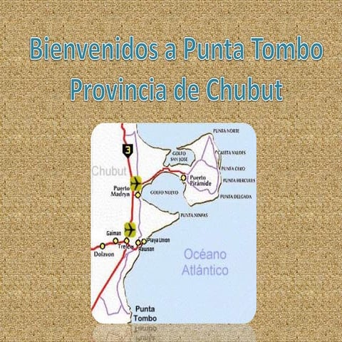 Península y Punta Tombo | PPTX