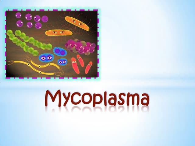Mycoplasma | PPT