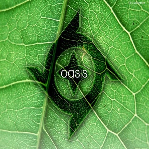 Presentación oasis | PDF