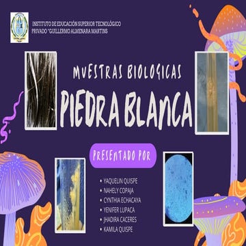PIEDRAS NEGRA Y BLANCA.pptx