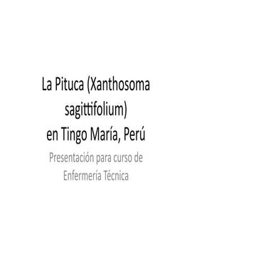 Presentación_Pituca_TingoMaria.pptx instituto | PPTX