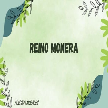 Reino Monera.pptx