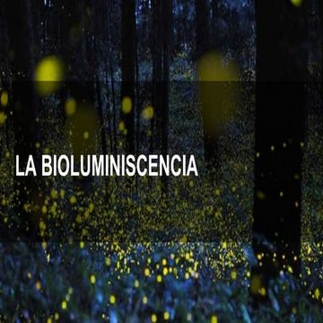 BIOLUMINISCENCIA | PPTX