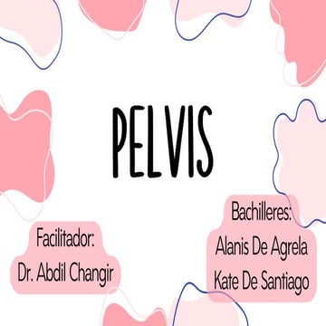 presentacion pelvis ginecologia y obstetricia | PDF