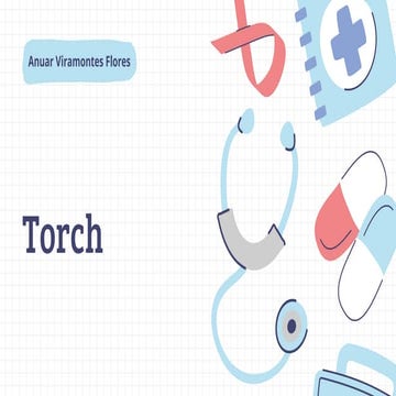 TORCH (TOXOPLASMOSIS, OTROS, RUBEOLA CONGÉNITA, CITOMEGALOVIRUS (CMV ...