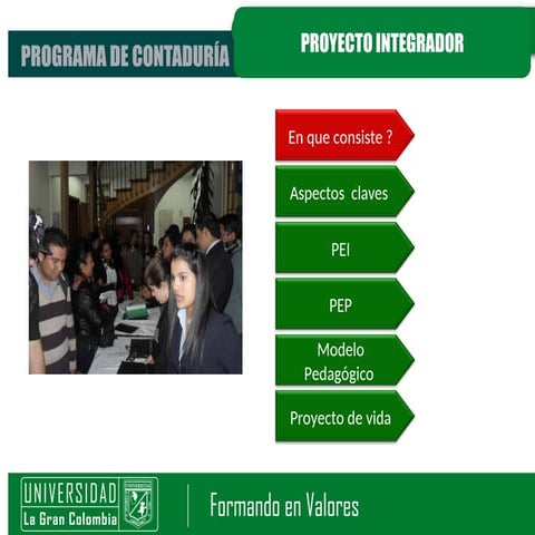 PRESENTACIÓN PROYECTO INTEGRADOR 2015 - I.ppt