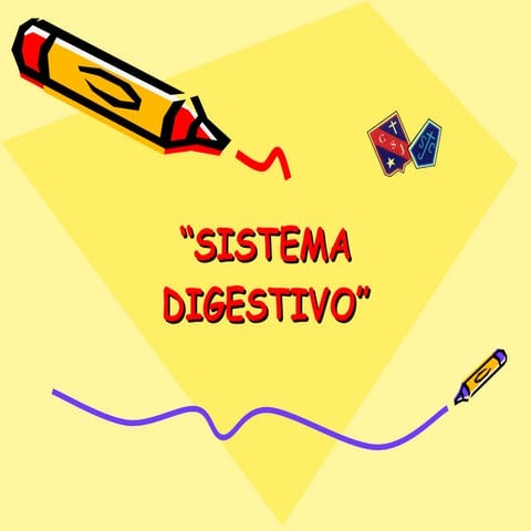 Sistema Digestivo | PPT