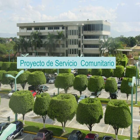 Proyecto de servicio comunitario | PPT