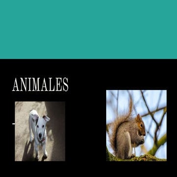 Los Animales..pptx