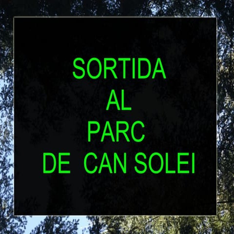 Sortida al parc de Can Solei octubre 2010 | PPT