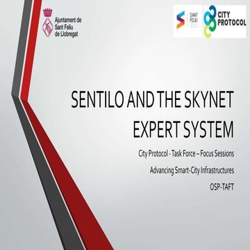 City Protocol Skynet | PPTX