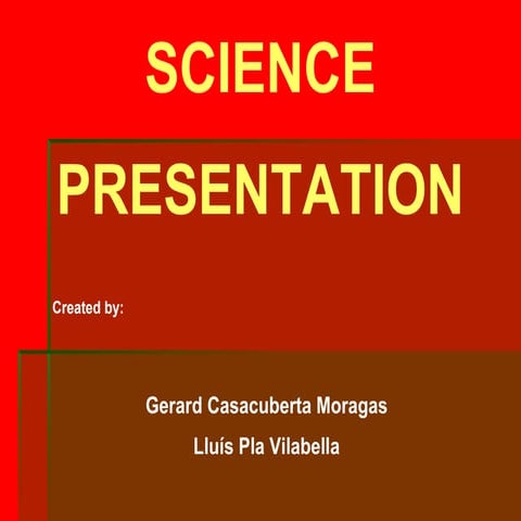 Invertebrates class ppt | PPT