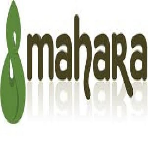 Qué es Mahara | PDF