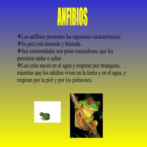 Presentacion De Animales | PPT