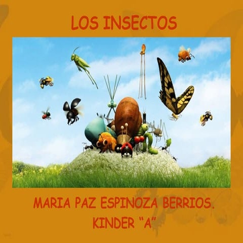 Presentacion Insectos | PPT