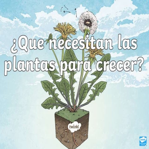 presentacion-que-necesitan-las-plantas-para-crecer_ver_1.pptx