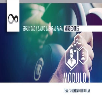 Presentacion seguridad vehicular | PDF