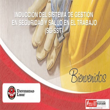 presentacion-sst | PDF