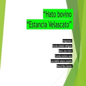 HATO BOVINO.pptx