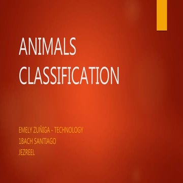 animals classification | PPT