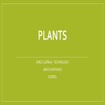 WHY DO WE NEED PLANTS - YEAR 8 PHOTOSYNTHESIS | PPTX