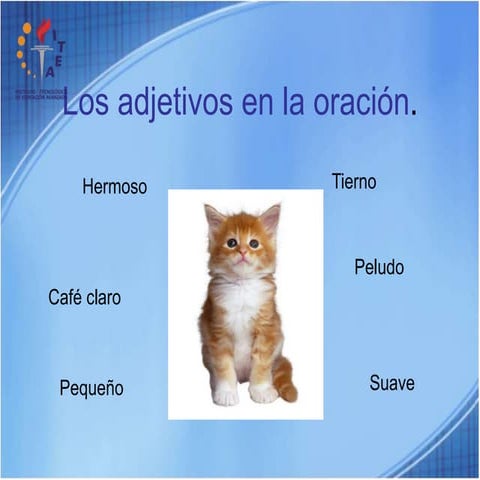 Presentacion adjetivos | PPTX