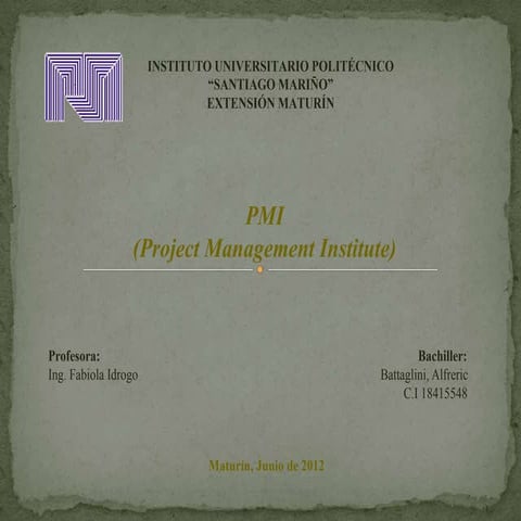 PMI Project Management Institute - Mapa conceptual | PPSX