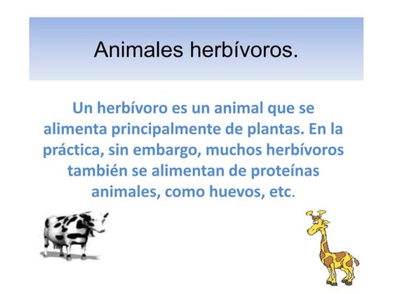 Los dientes y la alimentación de los animales | ODP