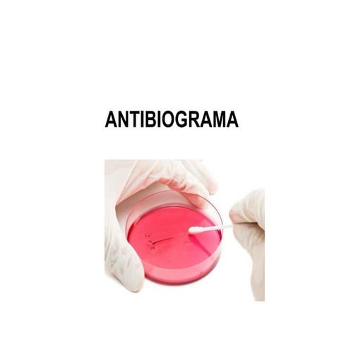 Presentacion antibiograma | PDF